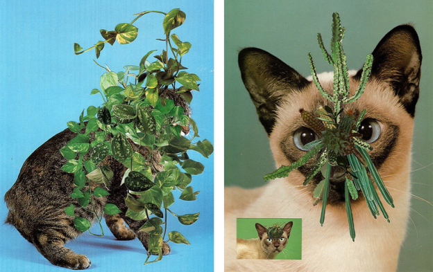 Friday Roundup: 10 Collage Artists Who Use Photographs in Their Work ...