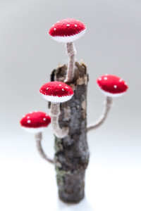 Felted Fungi on Real Wood… For Your Home! - Brown Paper Bag