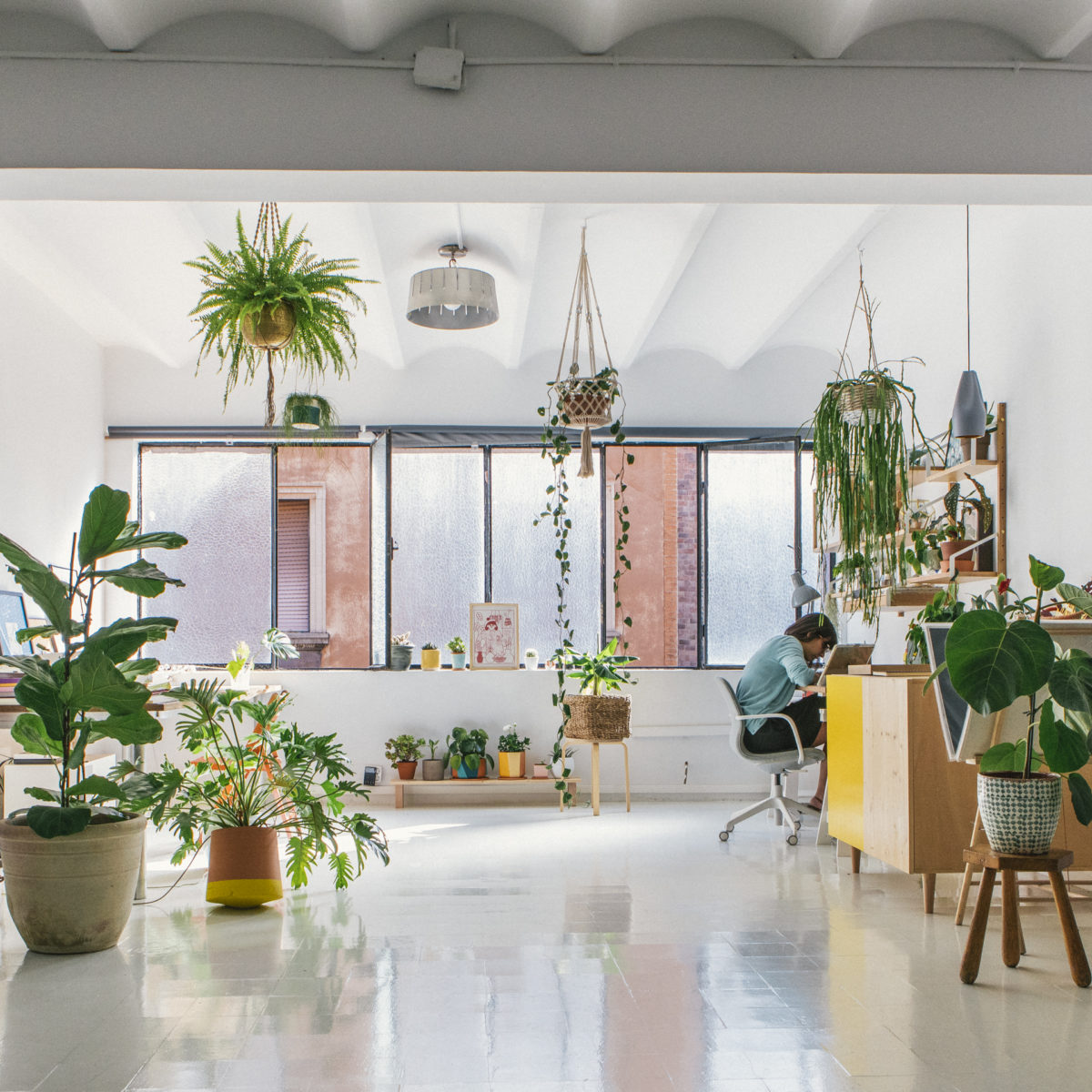 Interview: How a Personal Project of Paper Plants Blossomed into a ...