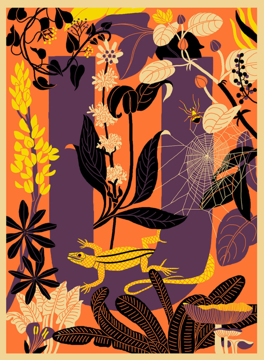 Gain a New Appreciation for Letters With This Illustrative Reimagining ...